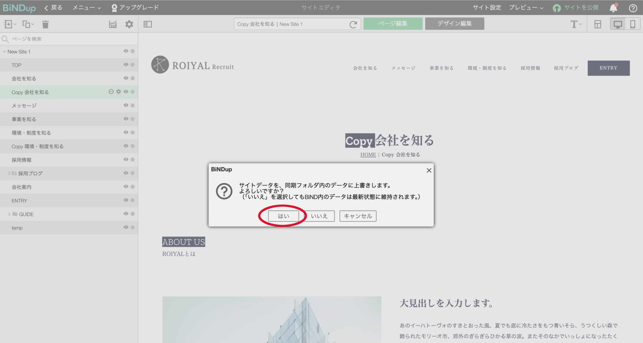 BiNDupデータの復元